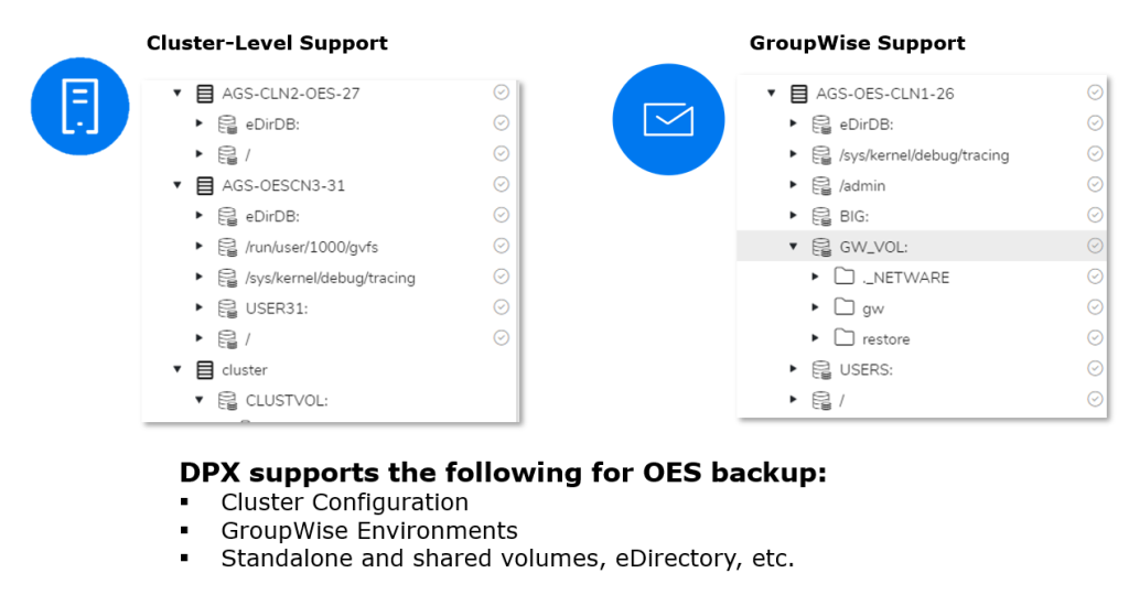 OpenText OES Backup | Catalogic Software
